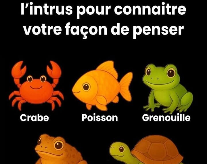 Test psychologique : ce que vous voyez en premier en dit long sur vous ...
